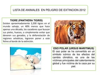 Animales En Peligro De Extincion En El Mundo