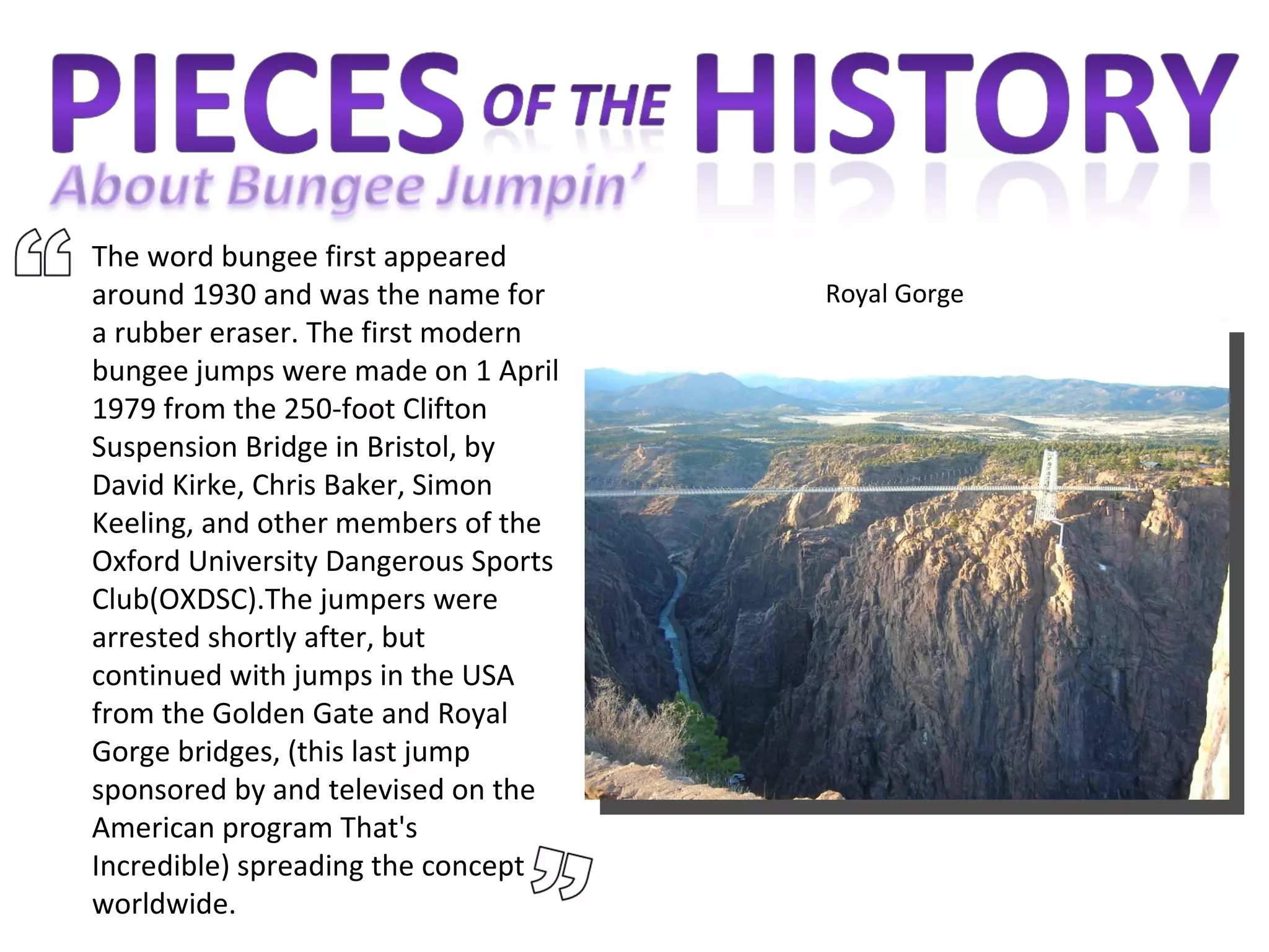 Bungee Jumpin J.P&M.R | PPT