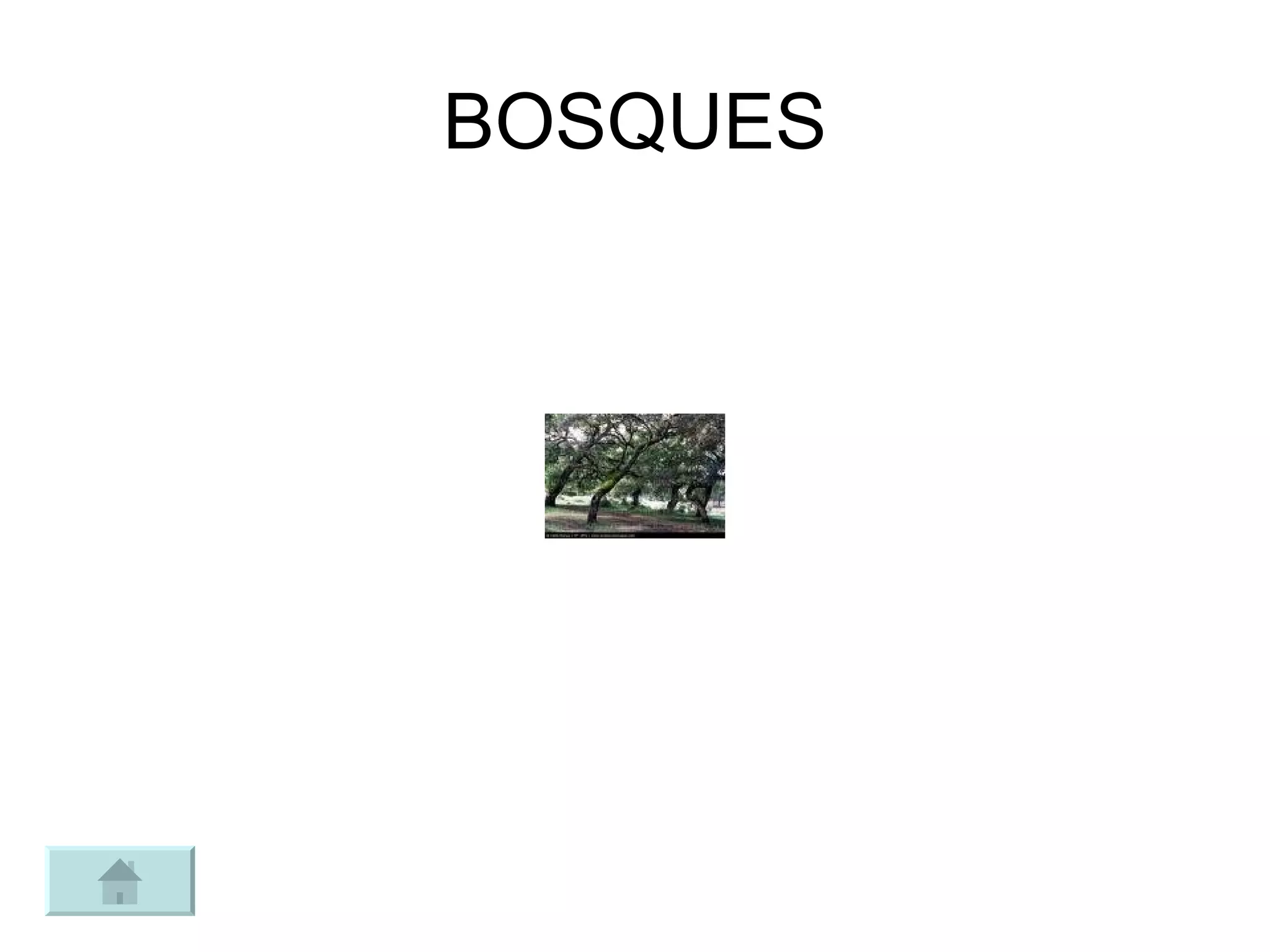 Mi Presentacion | PPT