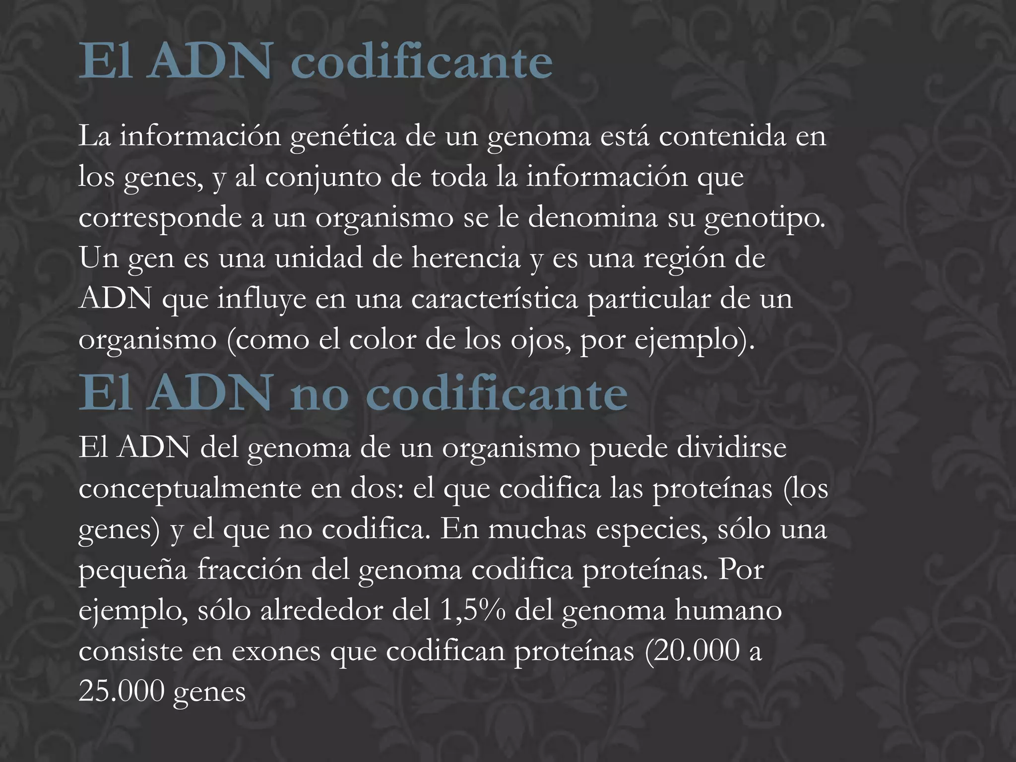 EL ADN | PPTX