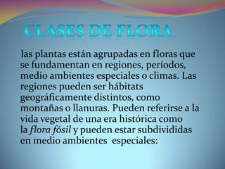 la flora | PPTX
