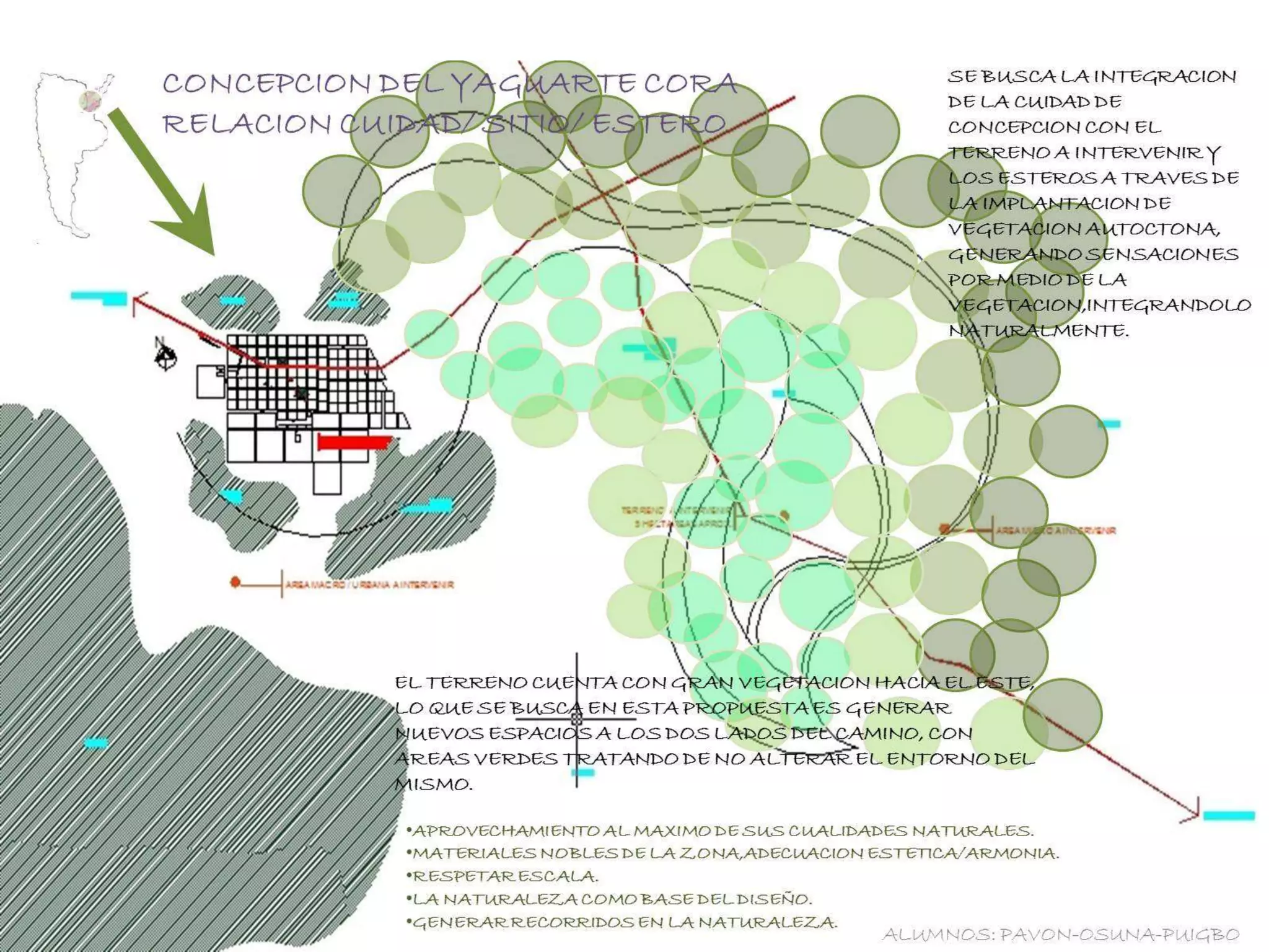 PARTIDO ARQUITECTÓNICO. | PPT