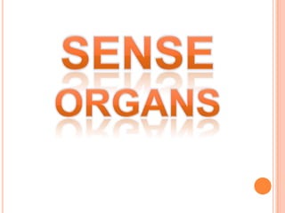 Sense Organs | PPT