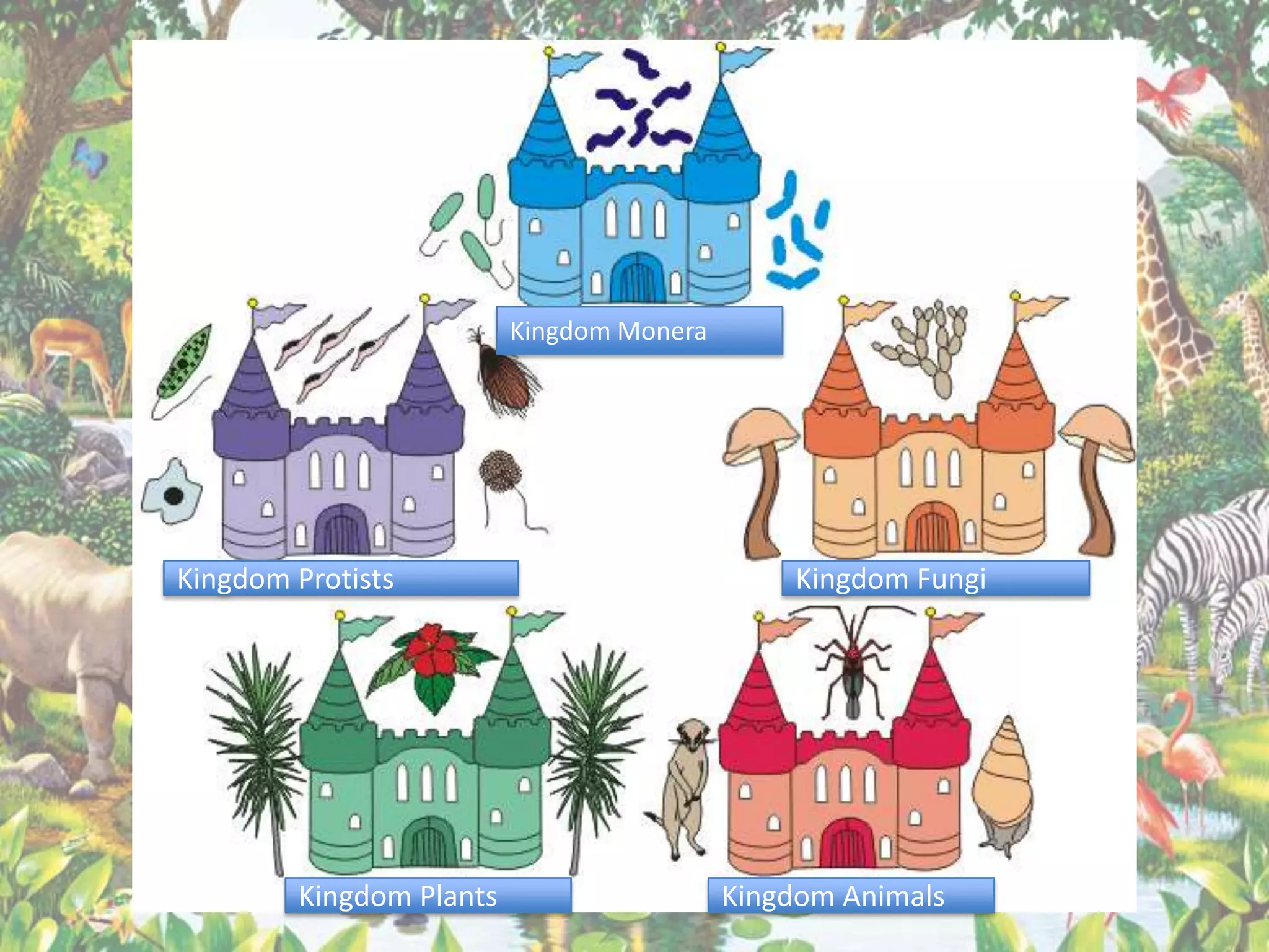 The 5 kingdoms | PPT