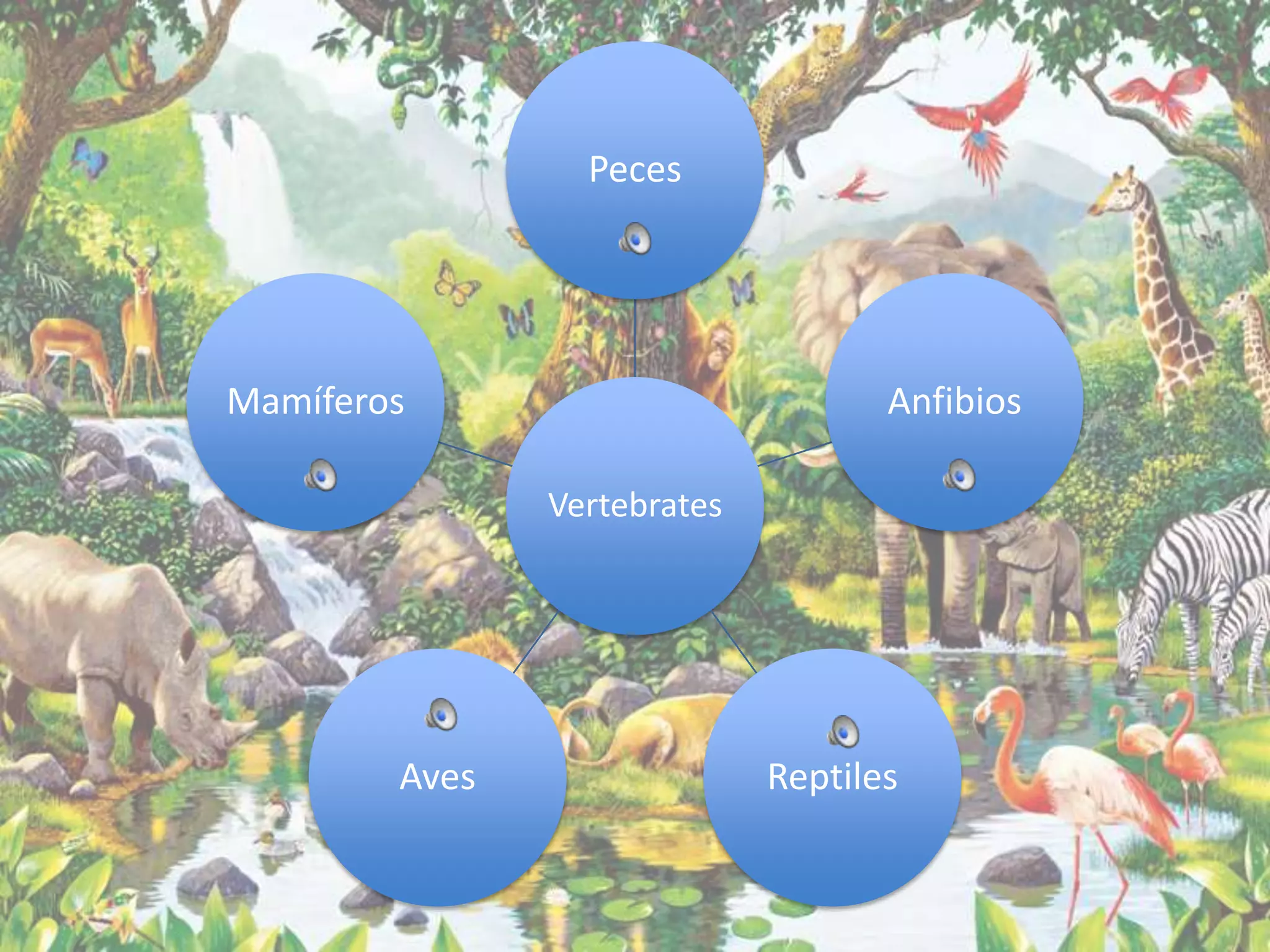 The 5 kingdoms | PPT