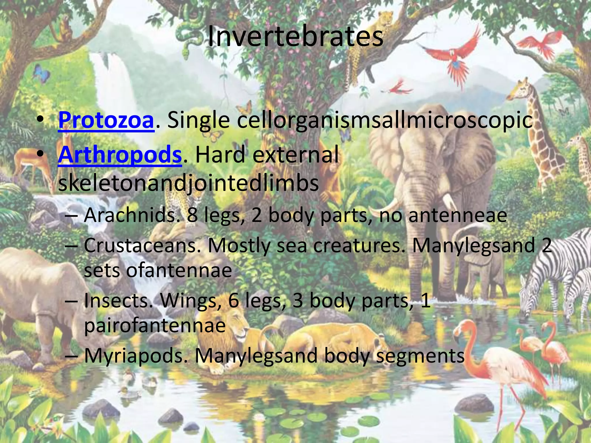 The 5 kingdoms | PPT