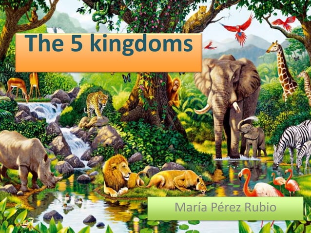 The 5 kingdoms | PPT