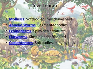 The 5 kingdoms | PPT