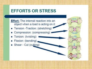 STRUCTURES AND FORCES Presentación1 | PPTX