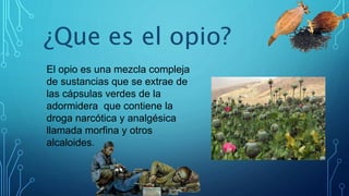 guerra del opio | PPSX