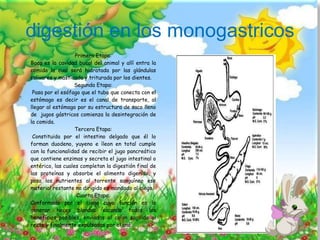 sistema Digestivo dirigido por Ing Produccion Animal Unellez | PPTX