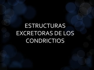 DIFERENCIA ENTRE ESTRUCTURAS EXCRETORAS DE LOS CONDRICTIOS Y ...