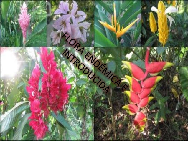 FLORA Y FAUNA DEL CARCHI E. E. Z. R.