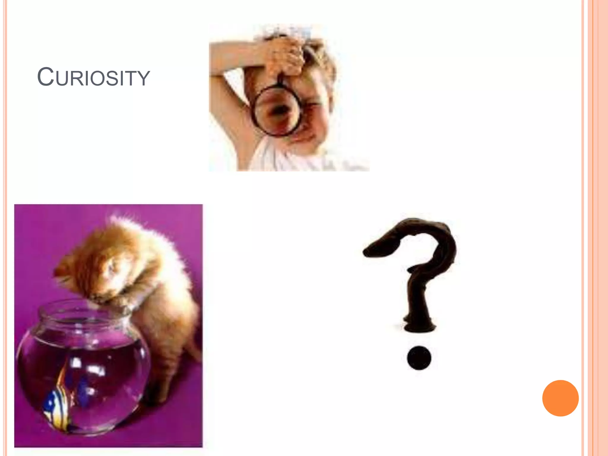 Creativity, curiosity and diversity | PPT