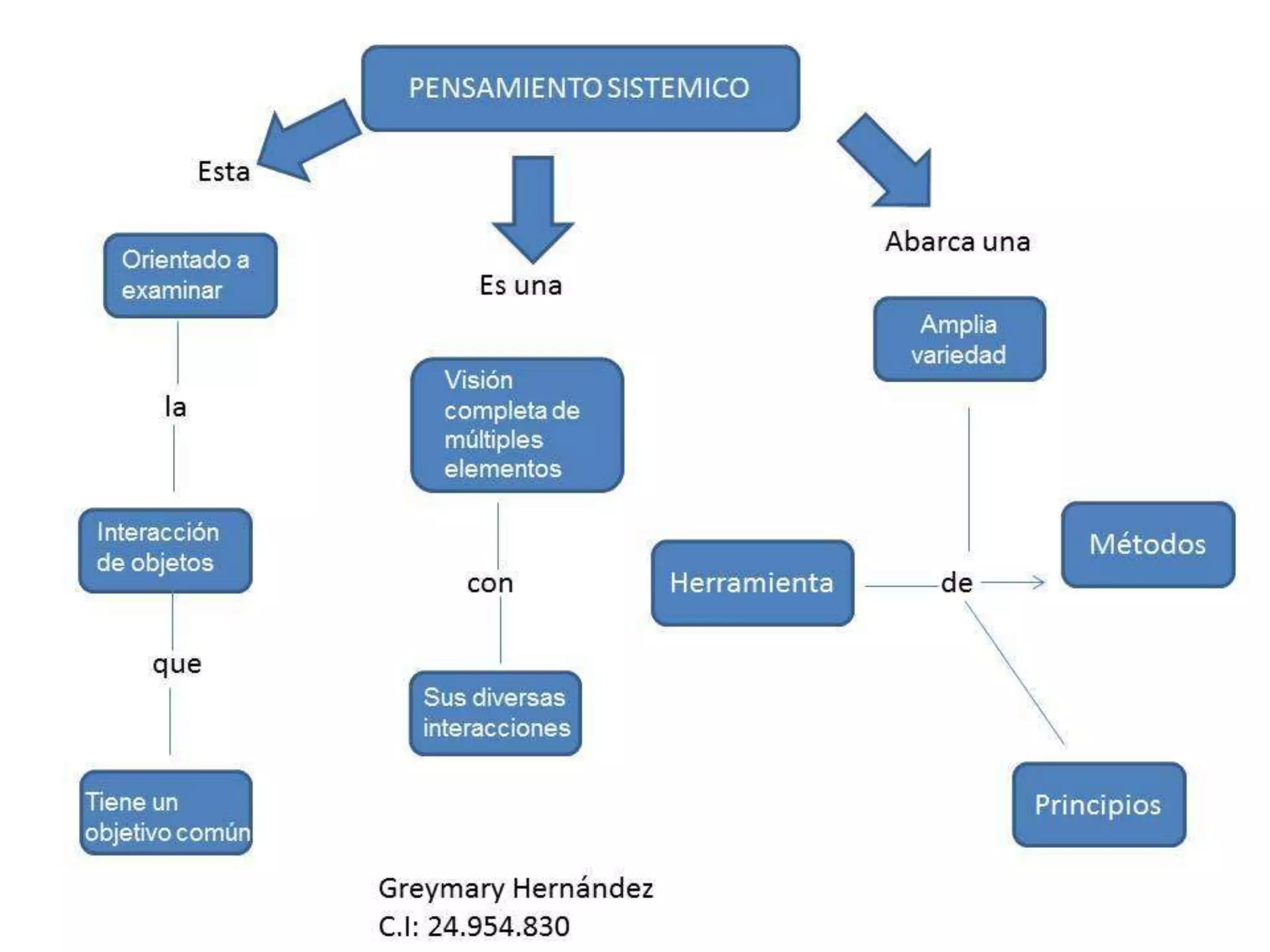 Pensamiento Sistemico | PPT