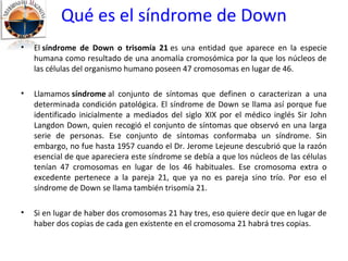 sindrome de down | PPT