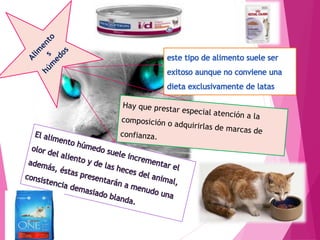 los gatos | PPT