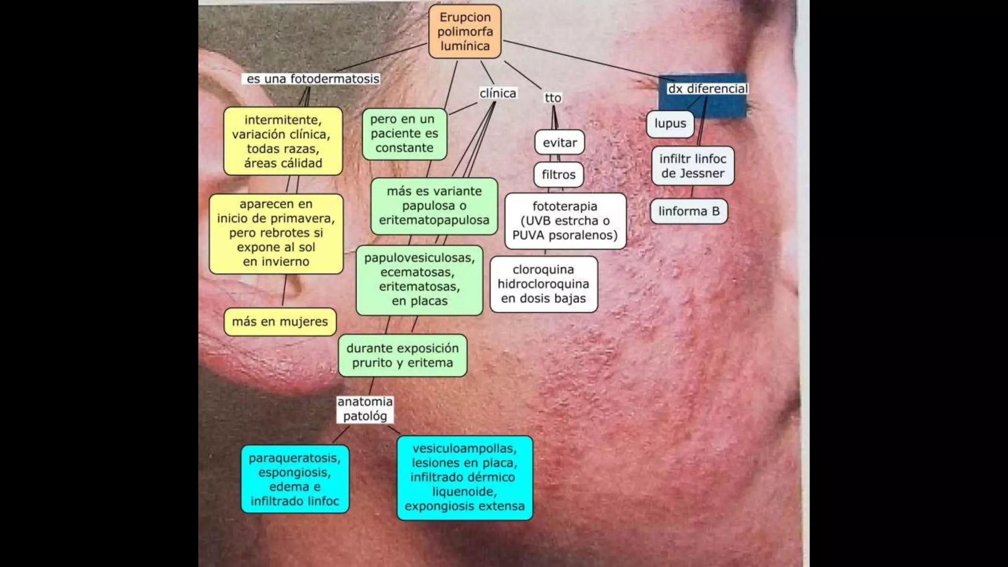 FOTODERMATOSIS | PPT