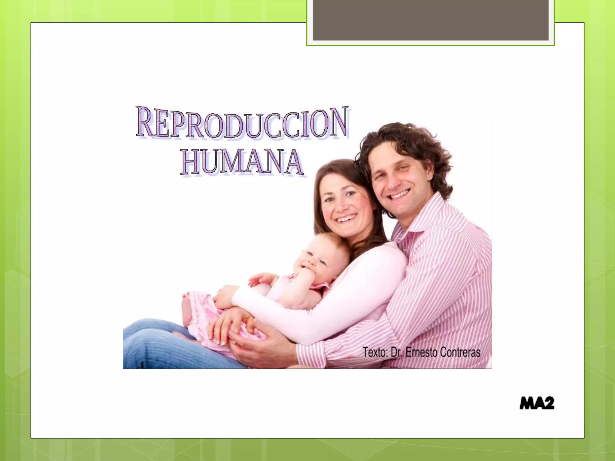 La Sexualidad Humana Ppt