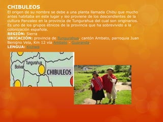 Etnias de la Sierra | PPTX