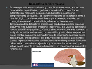 El cerebro triuno | PPTX