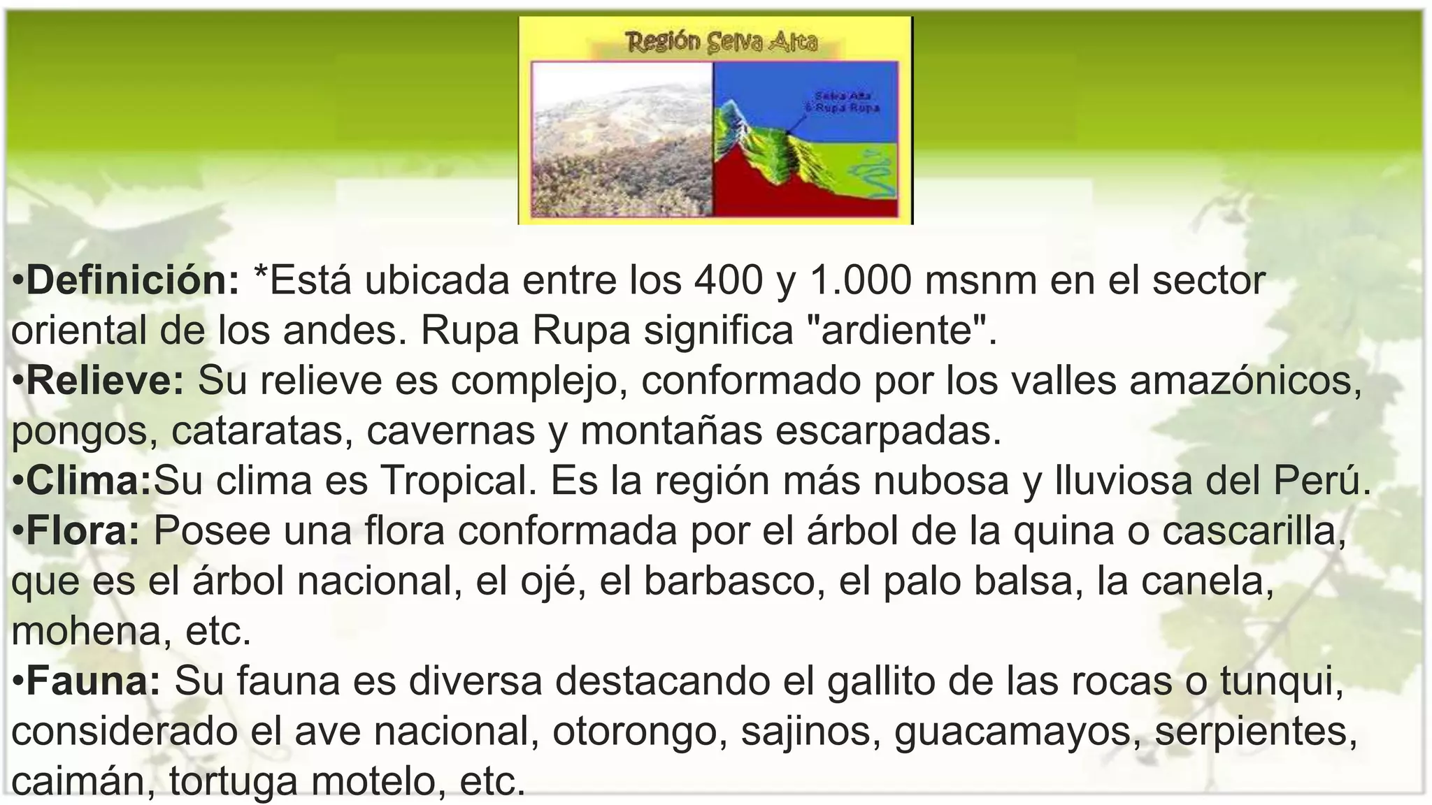 Las ocho regiones naturales del Perú | PPTX | South America Travel ...