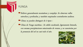 las 8 regiones naturales del Perú | PPTX