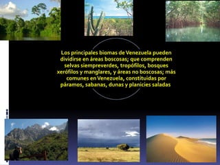 Flora y fauna de Venezuela Cs de la Naturaleza | PPTX