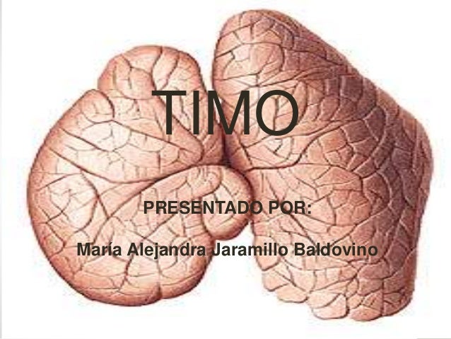 timo