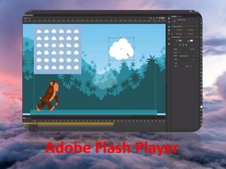 Adobe Flash Player | PPT