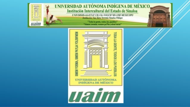 Uaim Logo