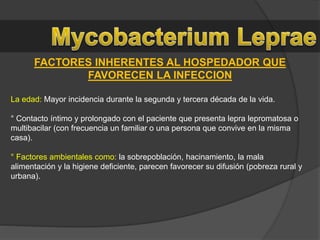 Lepra y Leptospirosis | PPTX