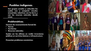 Diferencias entre razas y etnias. | PPTX