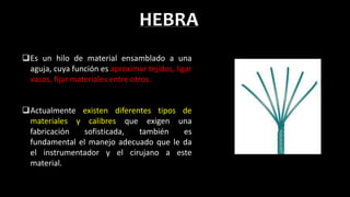 Presentación1.pptx