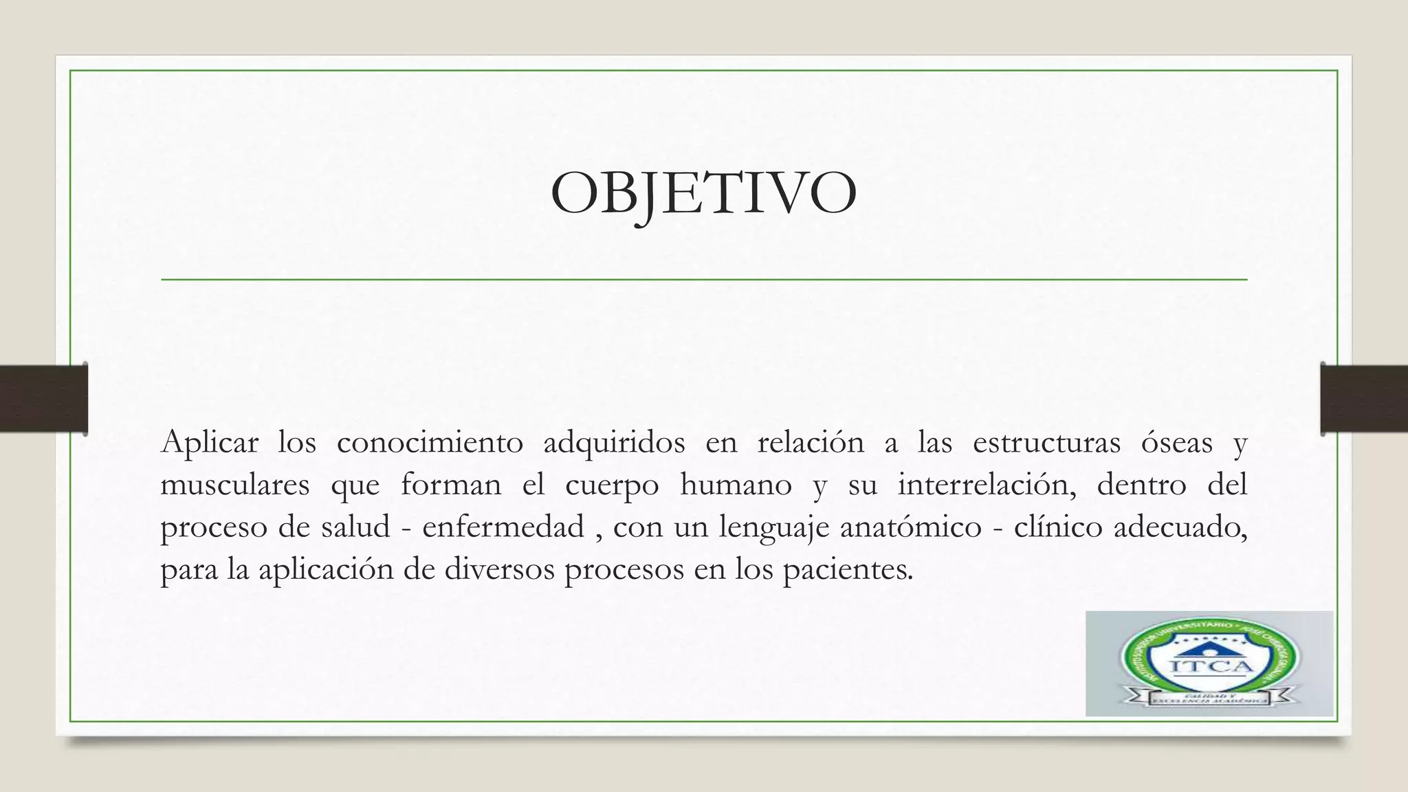 ANATOMIA HUMANA | PPT
