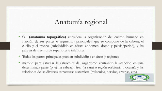 ANATOMIA HUMANA | PPT