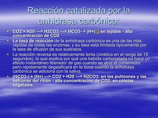 BIOELEMENTOS DE LA NATURALEZA Y DISPOSICION | PPT