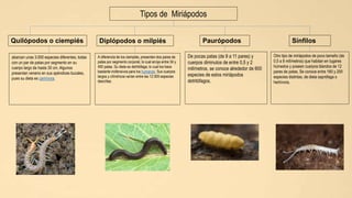 Los artrópodos (crustáceos y miriápodos) | PPTX