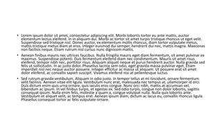 Presentaciónsobretiposdeperros!!!!!.pptx