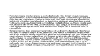 Presentaciónsobretiposdeperros!!!!!.pptx