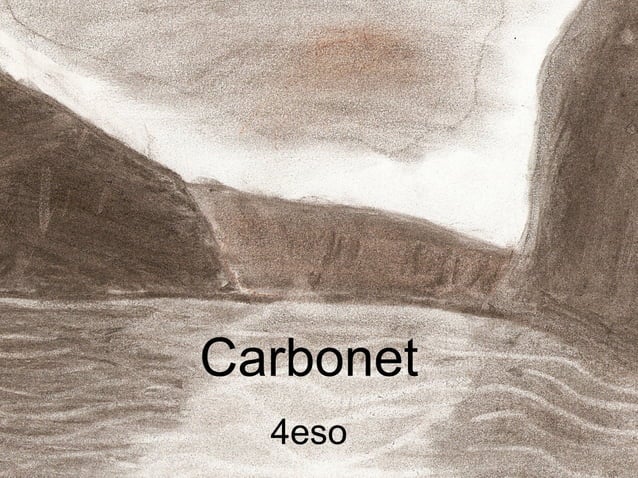 PresentacióN1 Carbonet | PPT