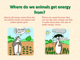 PresentacióN1 Energy For Kids For Example | PPT | Indoor Environmental ...