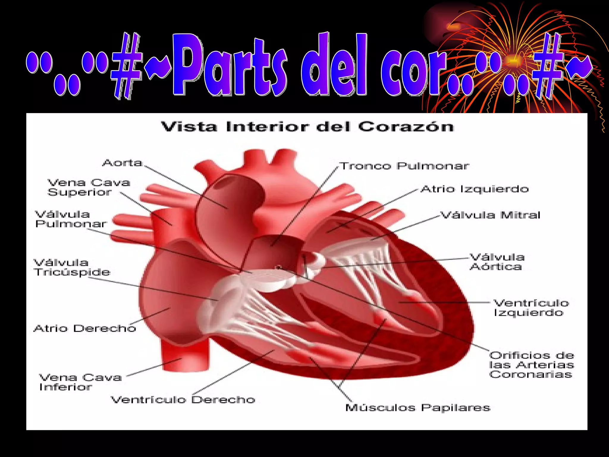 Presentación1.cor. | PPT