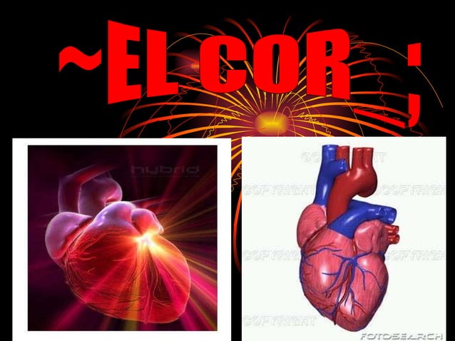 Presentación1.cor. | PPT