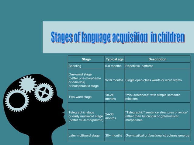Stages of Acquisition of first Language | PPT | Parenting | Family and ...
