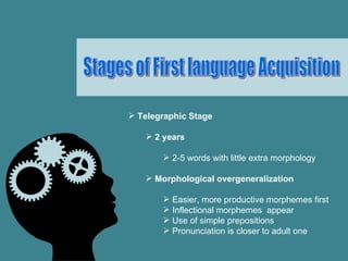 Stages of Acquisition of first Language | PPT