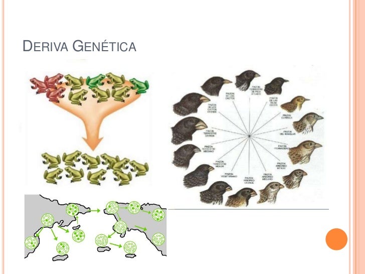 Trabajo Extra-Clase de Biologia 2