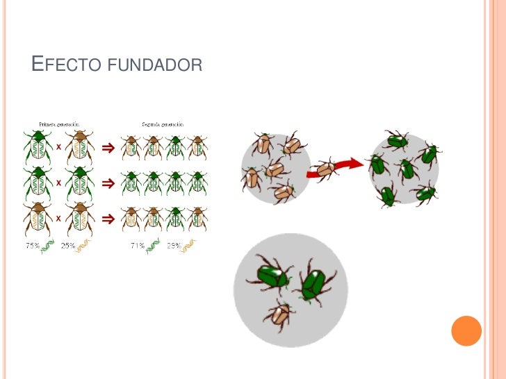 Trabajo Extra Clase De Biologia 2