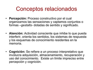 Sensación y sentidos | PPSX