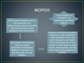 plegable biologia molecular | PPT